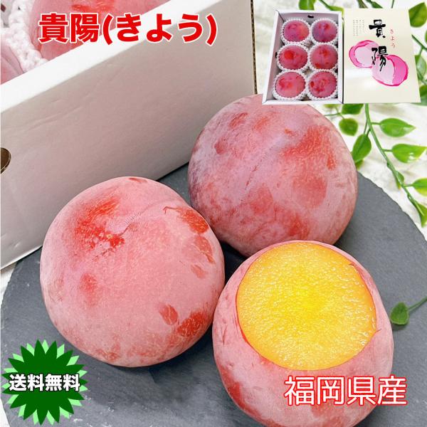 【発売日：2026年07月04日】高級スモモ「貴陽」は、栽培が非常に難しく、生産量が限られていることから「幻のスモモ」とも呼ばれています。その希少価値の高さから、百貨店などでも取り扱いが限られています。大玉で糖度が高く、果汁が豊富で、果肉は...
