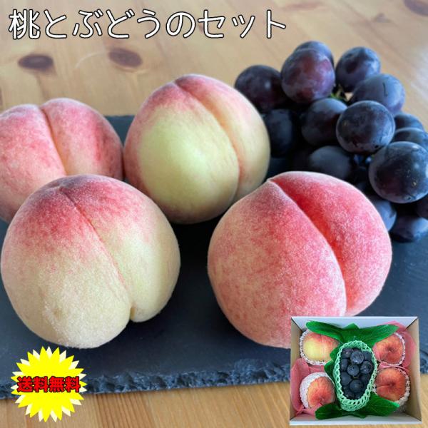 福岡県産の桃と黒ぶどうを贅沢に詰め合わせたギフトセットです。桃の芳醇な香りとジューシーな果肉、ぶどうの濃厚な甘みとしっかりとした果肉が特徴です。桃を4玉、ぶどう1房の果物好きにはたまらないセットです。JAからの正規品なので、基準をクリアした...