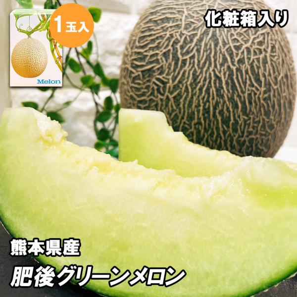 商品名：メロン（肥後グリーンメロン）※房がない商品となります※産地：熊本県 内容量：1箱　化粧箱　1玉入賞味期限：商品到着後なるべく早めにお召し上がりください。 販売者：大和屋旬果庵メロン ギフト 果物 お供え 三回忌法要 お供え物 出産祝...