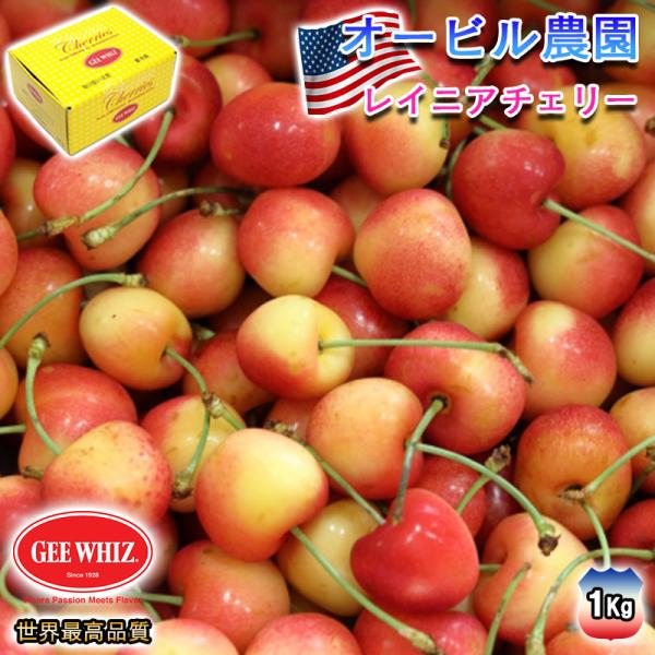 商品説明名　称:オービル農園　アメリカンチェリー　GEE WHIZ　大粒レイニアチェリー【1kg】世界最高品質 レーニアチェリー・送料無料原産地:アメリカ・ワシントン州産（オービル農園産）内容量:1箱 約1.0kg　超大粒サイズ　化粧箱入り...