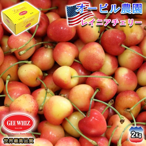 商品説明名　称:オービル農園　アメリカンチェリー　GEE WHIZ　大粒レイニアチェリー【2kg】世界最高品質 レーニアチェリー・送料無料原産地:アメリカ・ワシントン州産（オービル農園産）内容量:1箱 約2.0kg　超大粒サイズ　化粧箱入り...