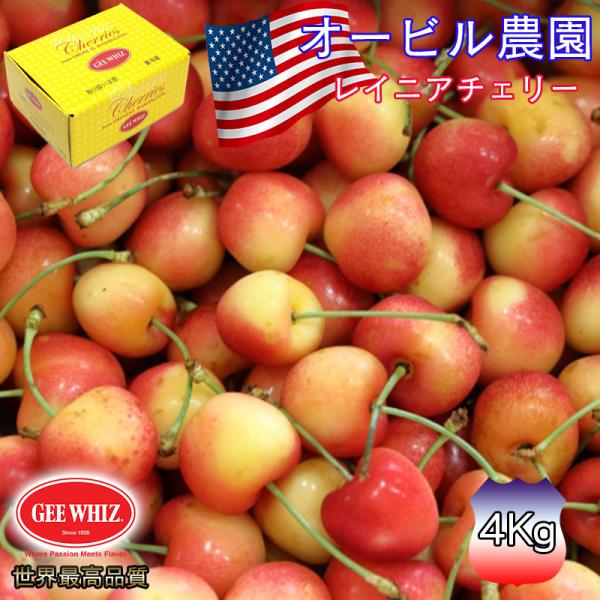 商品説明名　称:オービル農園　アメリカンチェリー　GEE WHIZ　大粒レイニアチェリー【4kg】世界最高品質 レーニアチェリー・送料無料原産地:アメリカ・ワシントン州産（オービル農園産）内容量:1箱 約4.0kg　超大粒サイズ　化粧箱入り...