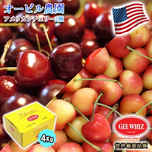 商品説明名　称:オービル農園　ダークチェリーとレイニアチェリー　GEE WHIZ　大粒【4kg】世界最高品質 ダークチェリー・送料無料原産地:アメリカ・ワシントン州産（オービル農園産）内容量:1箱 約4.0kg　（ダークチェリー2Kg・レイ...
