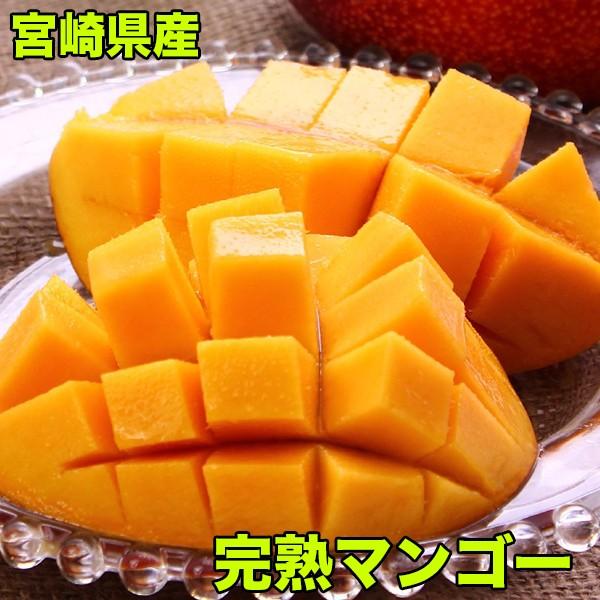 樹上で完熟し、落果したものだけを厳選して収穫。濃厚な甘みとトロピカルな風味が特徴で、一度食べたら忘れられない味わいです。父の日やお中元のギフトとしても喜ばれます。宮崎県認定の高品質なマンゴーを、ぜひ大切な方への贈り物にどうぞ。商品名：完熟マ...
