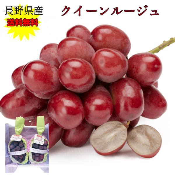 【発売日：2026年09月15日】長野県産「クイーンルージュ」は、マスカットの爽やかな香りと濃厚な甘みをあわせ持つ、近年注目のプレミアム品種の赤いシャインマスカットです。種がなく、皮ごと食べられるため、手を汚さずにそのままパリッと。口いっぱ...