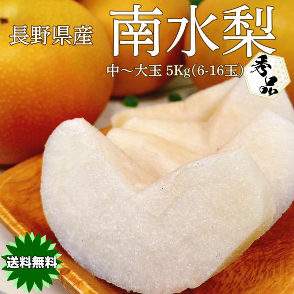 【発売日：2026年09月24日】信州 長野 梨 なし 送料無料 お試し 南水梨 5Kg 秀品 ギフト 大玉 長野県のオリジナル梨