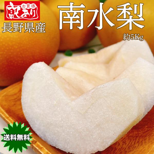 【発売日：2026年09月24日】信州 長野 梨 なし 送料無料 お試し 南水梨 5Kg 訳あり 長野県のオリジナル梨