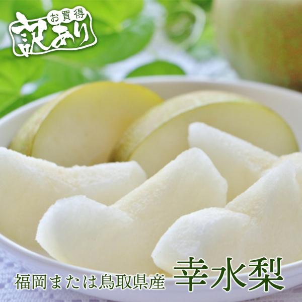 福岡県または鳥取県からお届けする幸水梨は、甘さと酸味のバランスが絶妙で、果汁たっぷりのジューシーさが魅力です。赤梨特有のつぶつぶ模様が見られる果皮は、時期や栽培状況によって色合いが変わります。食味の良さから長年にわたり人気を誇るこの梨を、ぜ...