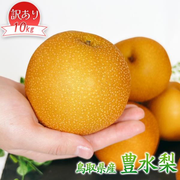 【発売日：2026年08月20日】鳥取県産の豊水梨は、太陽の恵みをたっぷり浴びて育ったジューシーな味わいが魅力です。見た目に少しキズがある「訳あり」ですが、味は秀品と変わらず、糖度14.6度の甘さが自慢。敬老の日のギフトとしてもぴったりで、...