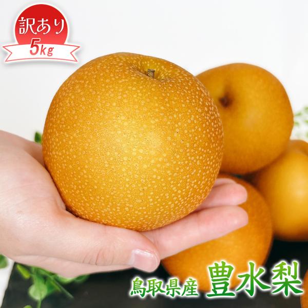 【発売日：2025年08月19日】商品名：豊水梨産地：鳥取県内容量：1箱　約5kg(8-20玉入)賞味期限：商品到着後、なるべく早くお召し上がりください。販売者：大和屋　旬果庵