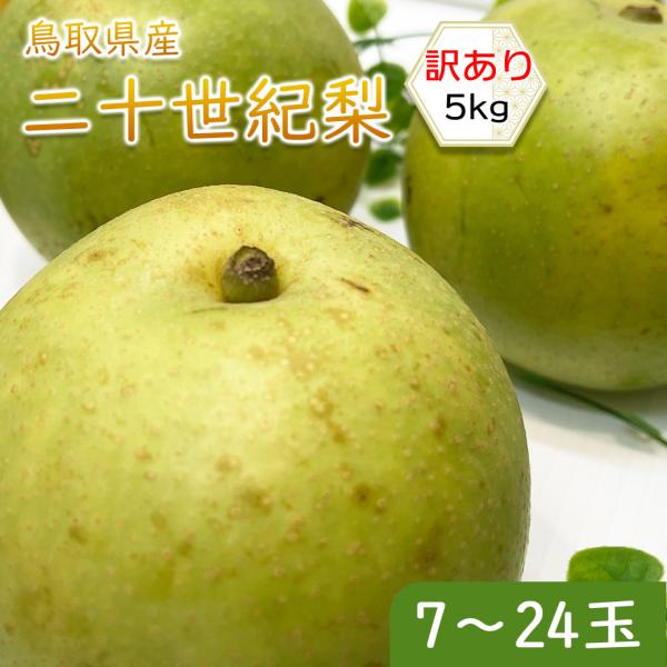【発売日：2026年08月30日】商品名：20世紀梨産地：鳥取県内容量：約5Kg（7-24玉）訳あり賞味期限：商品到着後なるべくお早めにお召し上がりください。販売者：大和屋　旬果庵