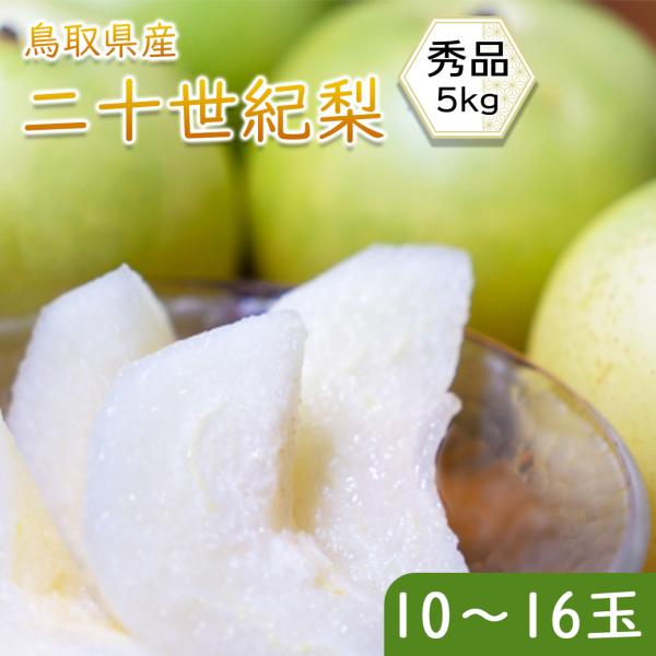 【発売日：2026年08月30日】商品名：20世紀梨産地：鳥取県内容量：約5Kg（10-16玉）賞味期限：商品到着後なるべくお早めにお召し上がりください。販売者：大和屋　旬果庵爆買