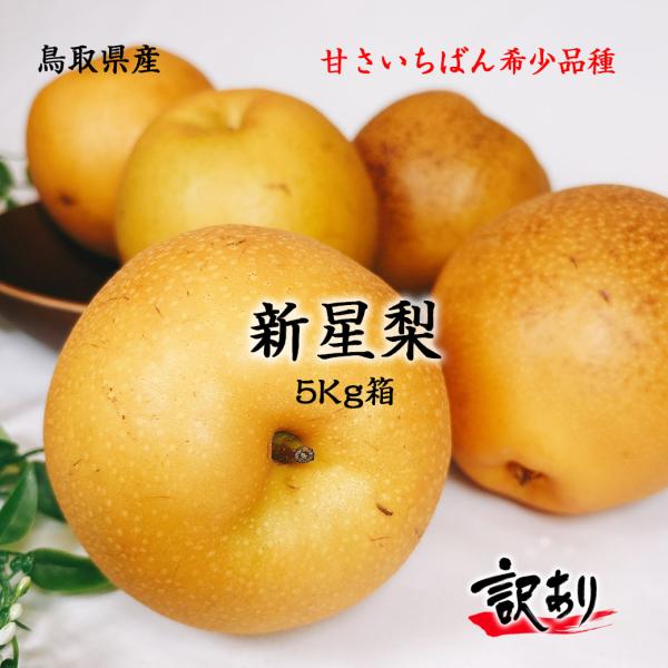 【発売日：2026年09月24日】鳥取県産の希少品種「新星梨」は、りんごのような形と香りが特徴の特別な梨です。酸味が少なく、甘味が強いので、フルーツ好きにはたまらない一品です。訳あり品ですが、その分お得に楽しめます。りんご梨とも呼ばれるこの...