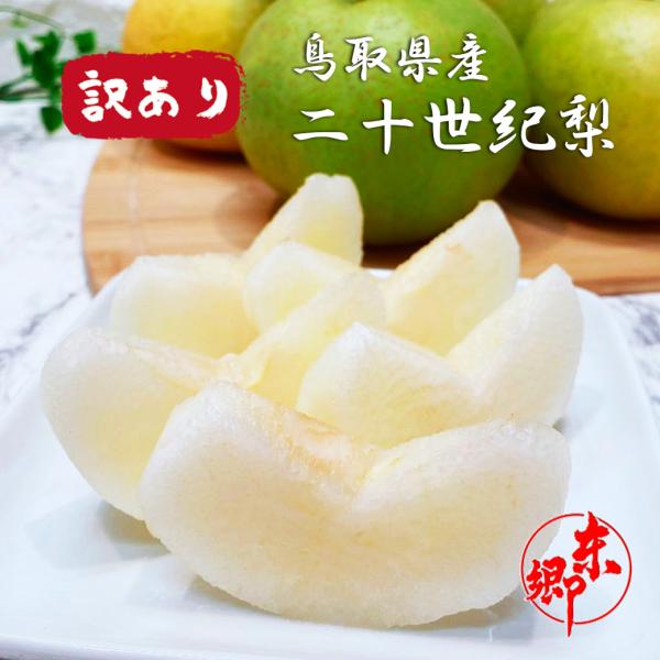 【発売日：2026年09月15日】商品名：20世紀梨（東郷）産地：鳥取県内容量：約10Kg賞味期限：商品到着後なるべくお早めにお召し上がりください。販売者：大和屋　旬果庵