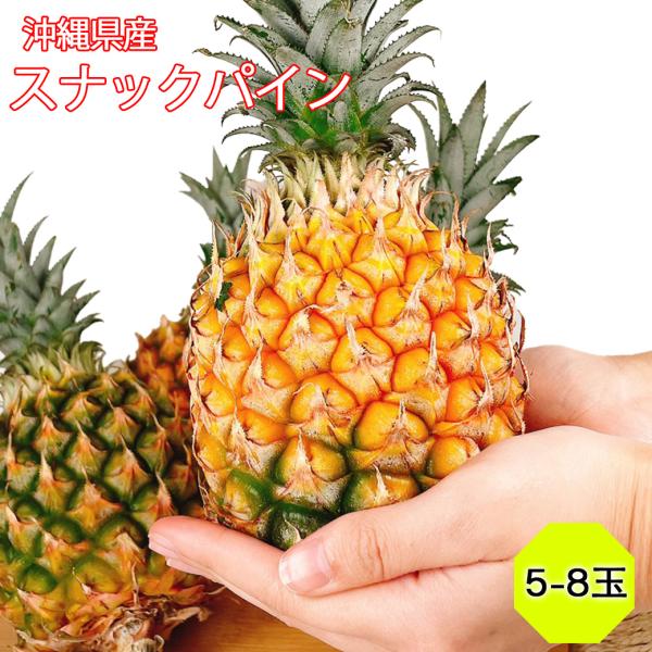 沖縄県産のスナックパインは、手でちぎって食べられるユニークなパイナップルです。甘みたっぷりで酸味が少なく、香りも高いので、食べるたびに南国の風を感じられます。芯まで食べられるので、無駄なく楽しめるのも嬉しいポイント。酸味が少なく、甘味をダイ...