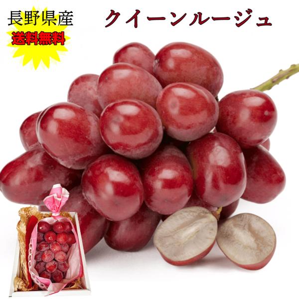 【発売日：2026年09月15日】長野県産「クイーンルージュ」は、マスカットの爽やかな香りと濃厚な甘みをあわせ持つ、近年注目のプレミアム品種の赤いシャインマスカットです。種がなく、皮ごと食べられるため、手を汚さずにそのままパリッと。口いっぱ...