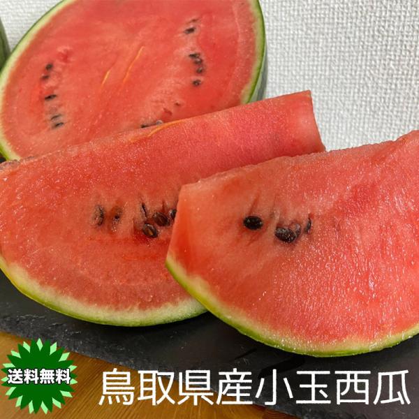 商品名：姫甘泉小玉西瓜産地：鳥取県内容量：1玉　約3Kg賞味期限：商品到着後なるべく早くお召し上がりください販売者：大和屋旬果庵