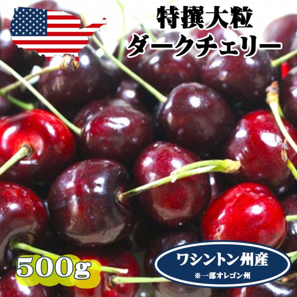 商品説明名　称:ワシントン州　アメリカンチェリー　大粒ダークチェリー【500g】高級アメリカンダークチェリー原産地:アメリカ・ワシントン州産（稀にオレゴン州産)内容量:1箱 約500g　大粒サイズ　化粧箱入り　最高級贈答用ギフトコメント:日...