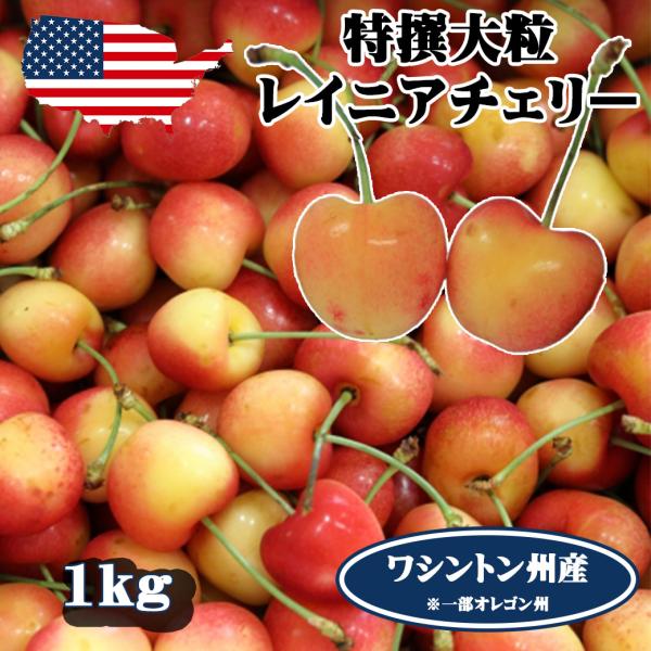 商品説明名　称:ワシントン州 アメリカンチェリー 大粒レイニアチェリー　大粒【1kg】高級アメリカンレイニアチェリー原産地:アメリカ・ワシントン州産（稀にオレゴン州産)内容量:1箱 約1kg　大粒サイズ　化粧箱入り　最高級贈答用ギフトコメン...