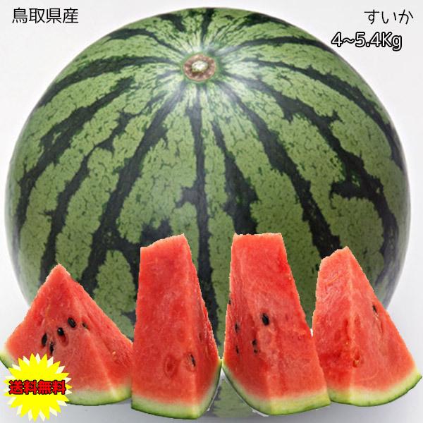 【発売日：2026年07月15日】商品名：すいか産地：鳥取県内容量：4Kg-5.5Kg保存方法：商品到着後なるべく早くお召し上がりください販売者：大和屋　旬果庵爆買