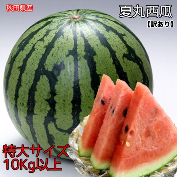 【発売日：2026年08月05日】商品名：夏丸すいか（訳あり）産地：秋田県サイズ：10kg以上賞味期限：なるべくお早めにお召し上がりください。販売者：大和屋旬果庵