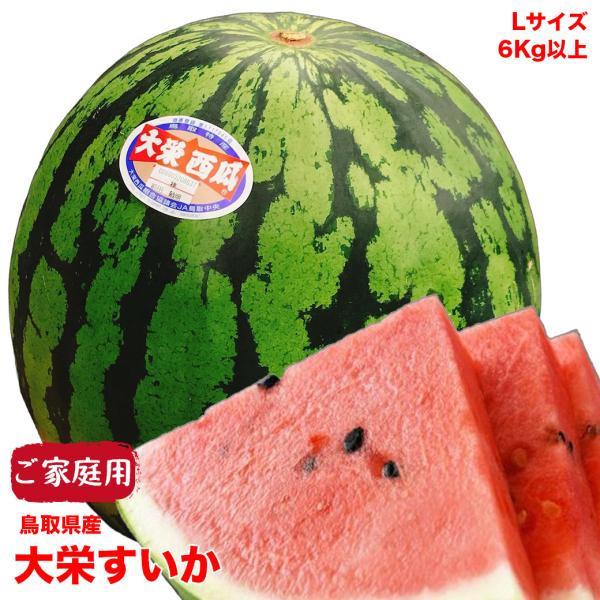 【発売日：2026年06月15日】鳥取県産 大栄西瓜 Lサイズ 6kg以上 ご家庭用 です配送方法にて常温便かクール便をお選び頂けます果肉に1、2センチ程度の空洞のある訳あり商品または、変形果の訳あり商品となります糖度は青果市場で測定済みの...
