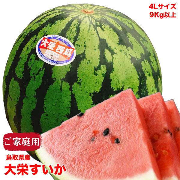 【発売日：2026年06月15日】鳥取県産 大栄西瓜 4Lサイズ 9kg以上 ご家庭用 です配送方法にて常温便かクール便をお選び頂けます果肉に1、2センチ程度の空洞のある訳あり商品または、変形果の訳あり商品となります糖度は青果市場で測定済み...