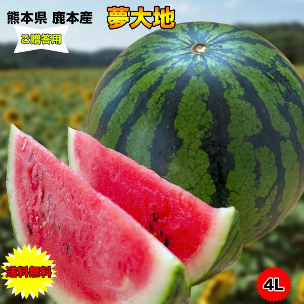 熊本県の豊かな大地で育った「夢大地すいか」。シャリッとほどける食感と、あふれる甘さが自慢です。ひと口かじれば、初夏の涼しさが広がるみずみずしさ。産地から丁寧に選び抜いた一玉を、ぜひご賞味ください。商品名：夢大地西瓜（秀品クラス）産地：熊本県...