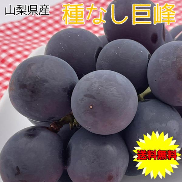【発売日：2026年08月05日】商品名：種なし巨峰ぶどう産地：山梨県内容量：1箱　800g（400g　×　2房入り）賞味期限：商品到着後、なるべくお早めにお召し上がりください販売者：大和屋旬果庵