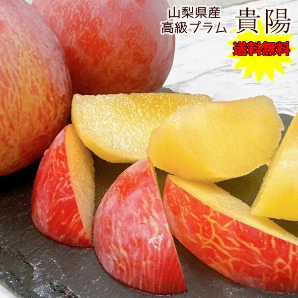 【発売日：2026年07月30日】高級スモモ「貴陽」は、栽培が非常に難しく、生産量が限られていることから「幻のスモモ」とも呼ばれています。その希少価値の高さから、百貨店などでも取り扱いが限られています.。大玉で糖度が高く、果汁が豊富なこの品...