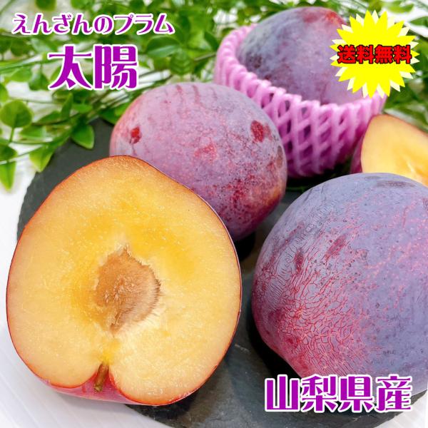 【発売日：2026年08月17日】山梨県・塩山地域で丁寧に育てられた高級すもも「太陽（たいよう）」を、選りすぐりの大玉7?9玉でお届けします。太陽は、果皮の深い紅色と、ひと口で広がる濃厚な甘みとコクが特徴の希少品種。果肉はしっとりとジューシ...