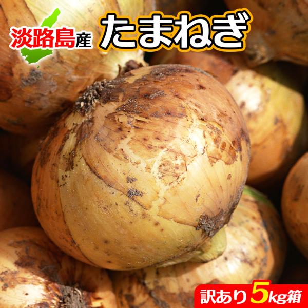 しっかりとした旨みと自然な甘さが特徴の名産品です。じっくり時間をかけて育つことで、加熱すると甘みがぐっと引き立ち、とろりとした食感と深いコクが生まれます。炒め物・煮込み・スープなど、どんな料理にも使いやすい万能食材です。淡路島ならではの豊か...