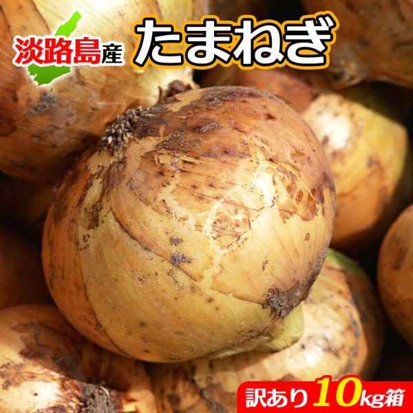 しっかりとした旨みと自然な甘さが特徴の名産品です。じっくり時間をかけて育つことで、加熱すると甘みがぐっと引き立ち、とろりとした食感と深いコクが生まれます。炒め物・煮込み・スープなど、どんな料理にも使いやすい万能食材です。淡路島ならではの豊か...