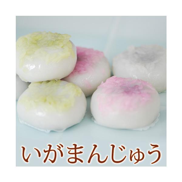 秋 お彼岸 生菓子 和菓子 お菓子 スイーツ 老舗 高級 お取り寄せ