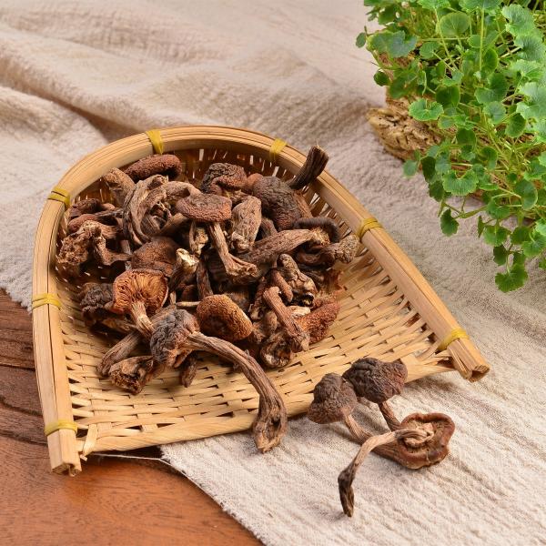 原材料名：ナラタケ内 容 量：100ｇ賞味期限：発送日から約1年保存方法：冷蔵で保存してください。原産国名：中国輸入者：大洋物産株式会社水戻し方法： 乾燥ナラタケは軽く水洗いし、容器に食材を入れ、水に浸けるのを3〜4時間が目安としてください...