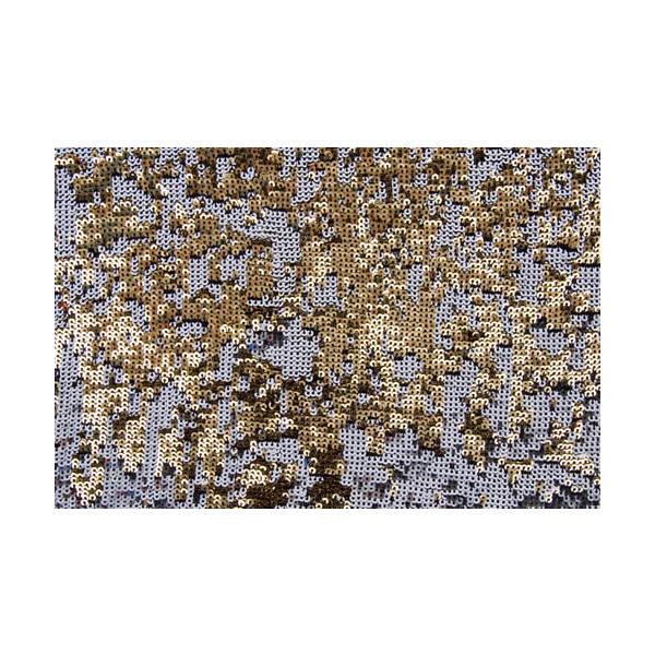 社交ダンスドレス・ダンス衣装・シューズ・アクセサリー・衣装用生地通販のダンスドレスJJプラス。ダンスドレス、レッスンウェアも取り扱ってます。ーーーーーーーーーーーーーーーーーーーーーーー【ご注文前に必ずお読みください】取り扱い生地に関する注...