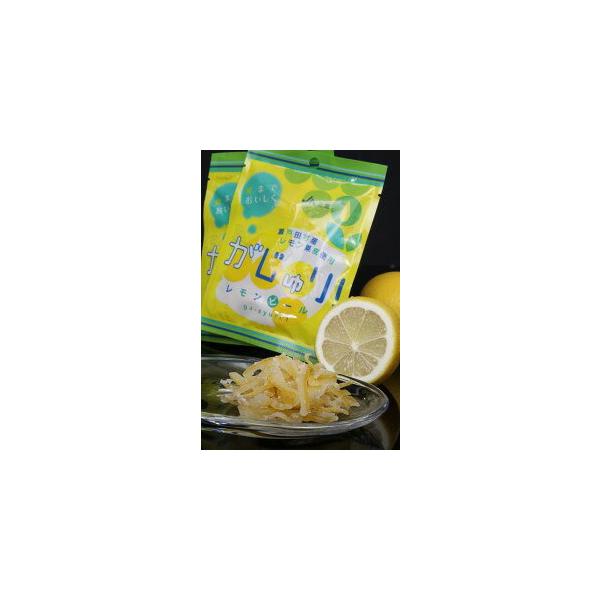 ●広島県瀬戸田町産エコレモンのレモンの皮を短冊状にカットし砂糖漬けにした、新しいけど懐かしい味のするお菓子です。瀬戸内の太陽と海風をたっぷり受けて育ったレモンを使い、良さを余すところ無くぎゅっと閉じこめました。●そのまま食べても、お菓子作り...