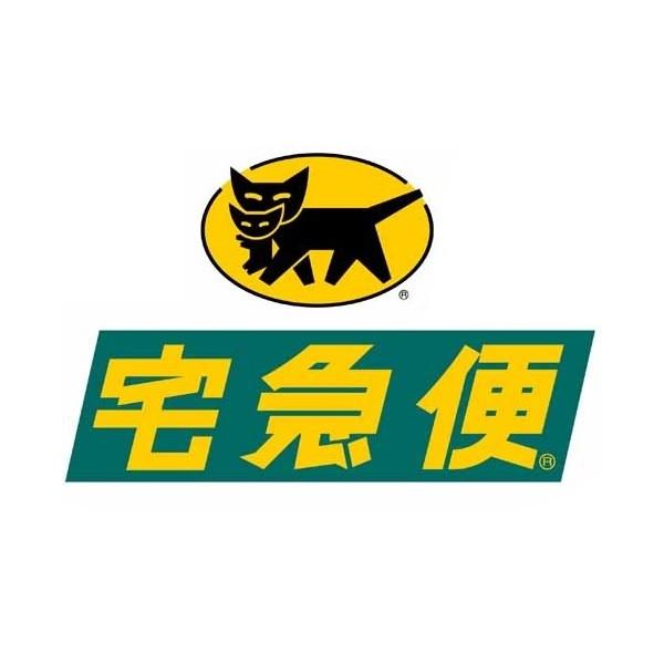 お急ぎでのお届けををご希望の際は、コチラの送料をカートに入れていただくことで、即日出荷にて最速いてお届けさせていただきます。