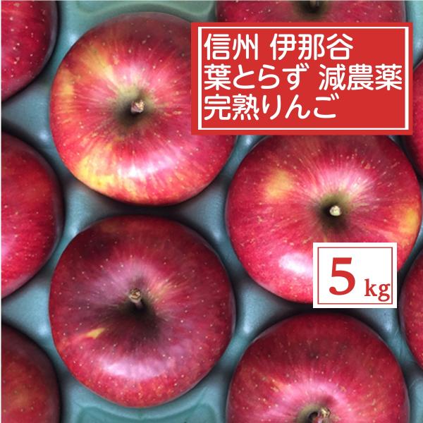 サンふじ 家庭用 5Kg（14〜22個）お買得なご家庭用です。 進行しないわずかな傷、見栄えが悪い（色むらやさび）ですが味は変わらず、小玉は「ふじ」本来の持ち味を発揮します。 大玉に比べ無理なく自然に熟し、食すると甘味と酸味のバランスが素晴...