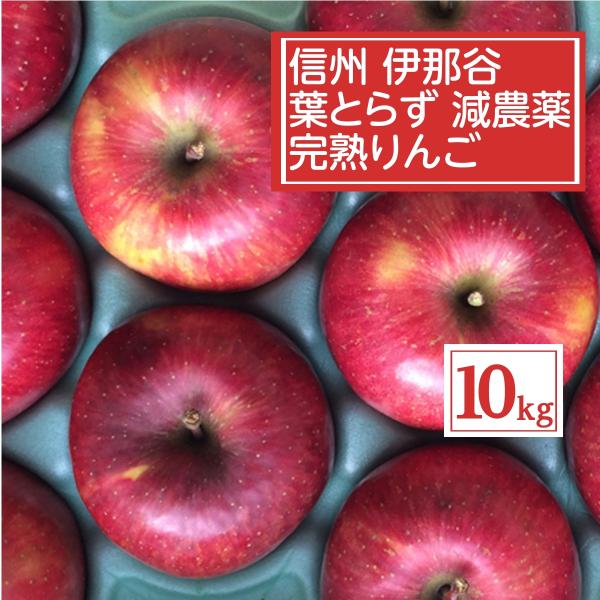 サンふじ 家庭用 10Kg（28〜44個）お買得なご家庭用です。 進行しないわずかな傷、見栄えが悪い（色むらやさび）ですが味は変わらず、小玉は「ふじ」本来の持ち味を発揮します。 大玉に比べ無理なく自然に熟し、食すると甘味と酸味のバランスが素...