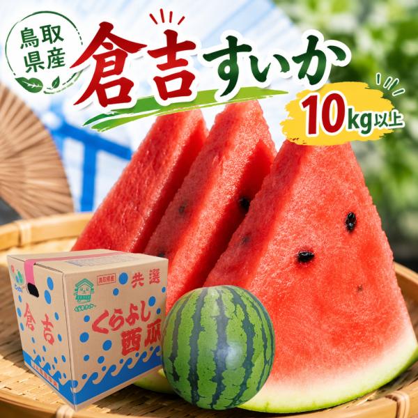 鳥取で栽培された大玉スイカです。シャリ気と甘さ、みずみずしさたっぷりの鳥取スイカをぜひお楽しみください。鳥取のスイカは、大玉で、玉の大きさに比例して外皮の厚いのが特徴です。この厚さが、スイカの鮮度と強度を保つ役割をしています。