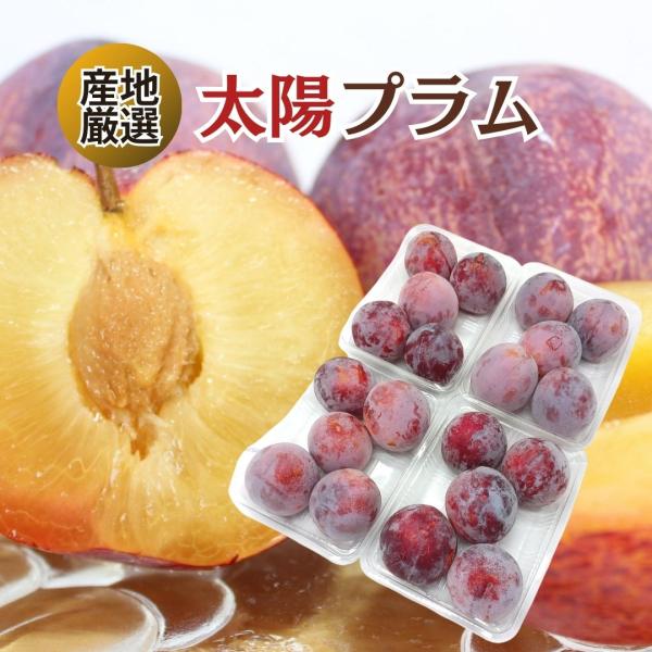 果実は100〜150gほどの大きさで、果皮は濃い紅紫色。完熟すると紫がかった紅色になります。また完熟果には、ヒビのような細い線が同心円状に入る「輪紋」が見られることがあります。 果肉は黄色がかった乳白色で、ややかためで締まりがあり、日持ちは...