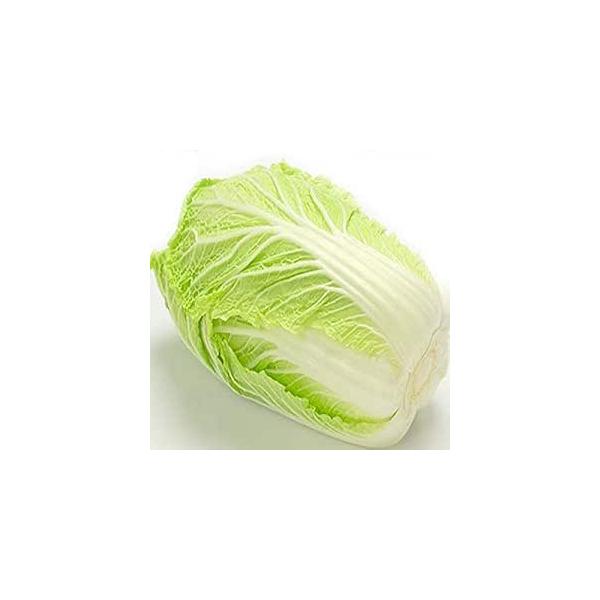 安心・安全の国産白菜を新鮮な状態でお届けします♪