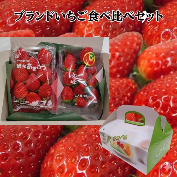 その日入荷した季節ごとの旬の果物を中心に厳選し盛り合わせております。写真の内容は一例です。予めご了承くださいませ。