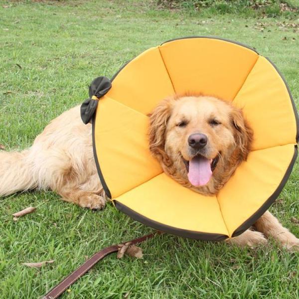 品名：エリザベスカラー 材質：本体/防水生地　　ふち/防水生地用途：術後回復、爪切り、手術などサイズ：XS-3XL対象：小型犬、小型猫　　　大型犬、大型猫検索ワード：エリザベスカラー エリカラ 犬 猫 用 ソフトタイプ　エリザベスカラー エ...