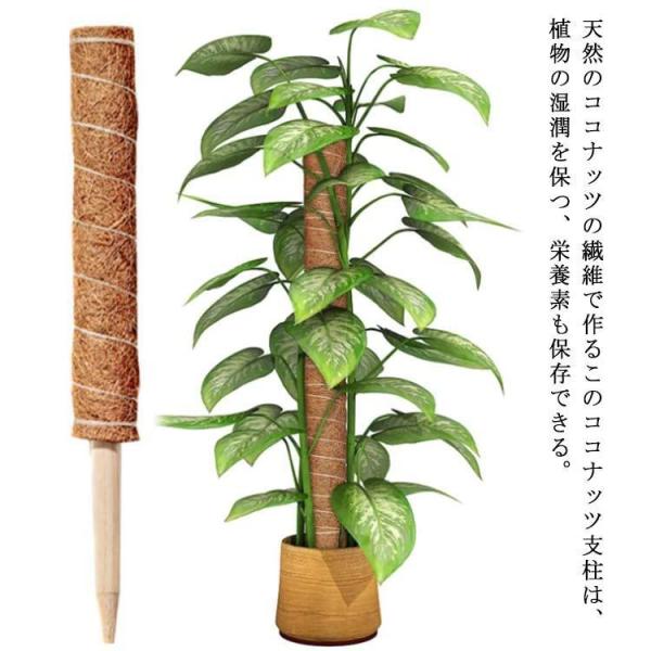 サイズ：長さ35cm/長さ45cm