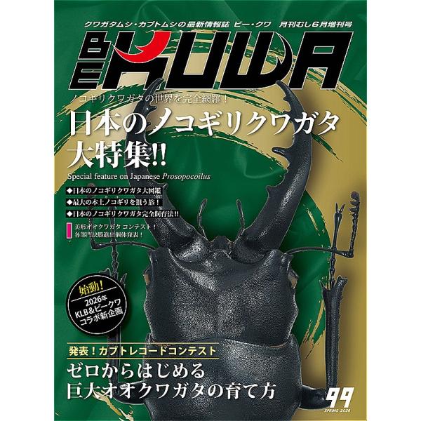 【発売日：2026年04月17日】発送開始は4月17日を予定しています。郵便受投函になります。特集:『日本のノコギリクワガタ大特集』！！