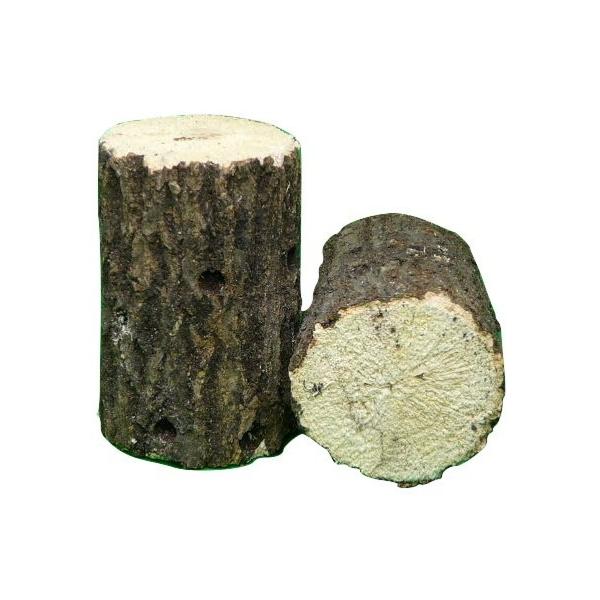 ※送料無料の表示のない商品は別途送料（送料欄参照）が必用です。送料は注文後に加算されます。初めての方はヤフーのシステムでは注文確認時に送料は0と出ますが送料無料と早合点！しないでください。オオクワガタなどの産卵に最適のクヌギ材です。クヌギ産...