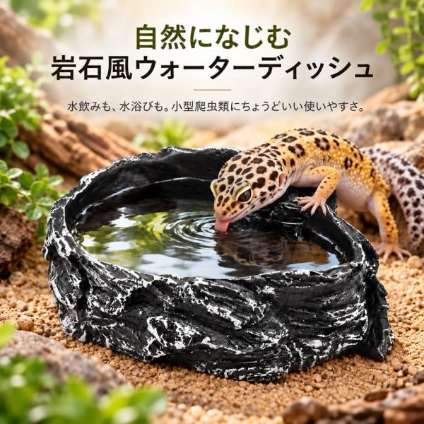 商品サイズ：約 幅12 × 奥行11 × 高さ4cm説明：自然の岩場をイメージした、爬虫類用の岩石風ウォーターディッシュです。水飲み用の水入れとしてはもちろん、小型の爬虫類や両生類の水浴び・休憩スペースとしても使用できます。立体感のある岩肌...