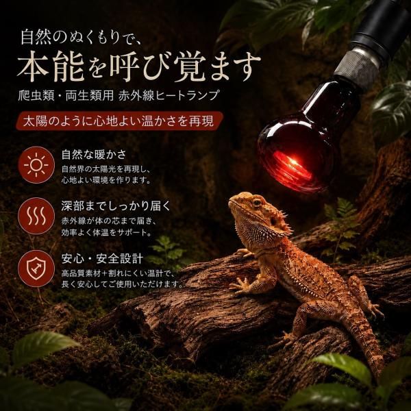 サイズ：高さ１０cm、幅６.５cm商品説明：赤外線でやさしく保温しながら、ペットの睡眠を妨げにくい設計です。高い熱出力により効率よく保温し、自然に近い快適な飼育環境を実現。ペットが一年を通して快適に過ごせる環境づくりをサポートします。使用説...